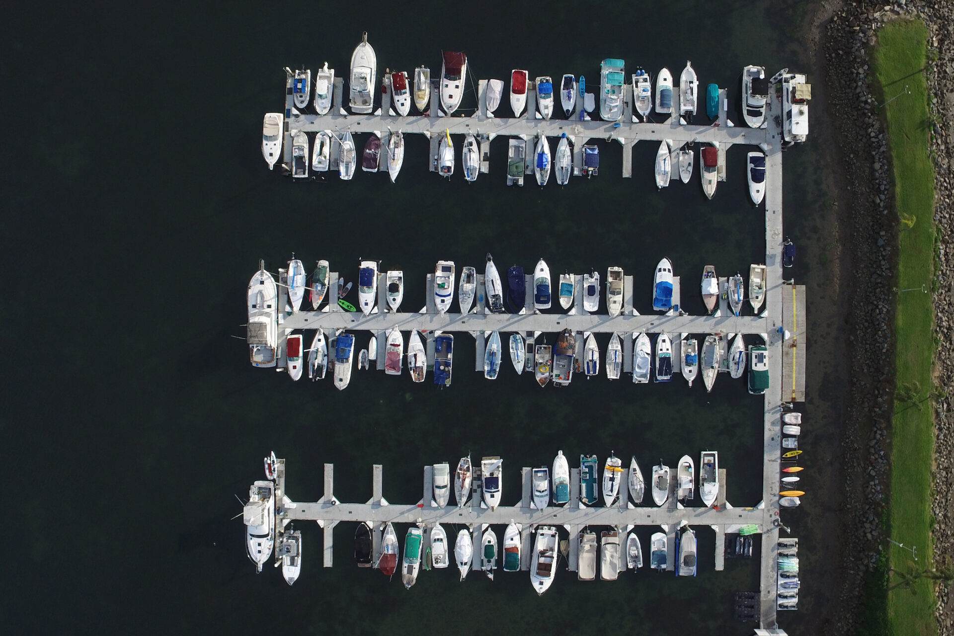 Water Sports - Mission Bay For All